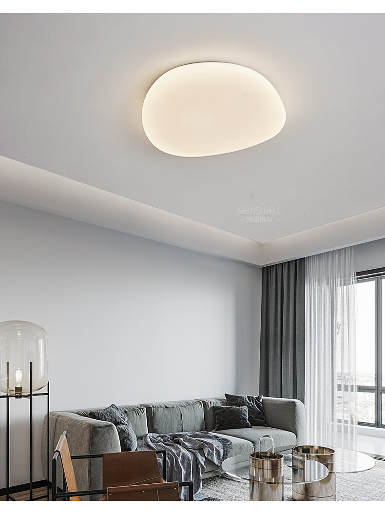 Ceiling Light – D Capsule